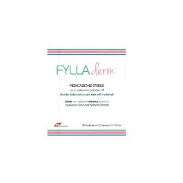Fylladerm medicazione con acido ialuronico 10 x 10cm 10 pezzi
